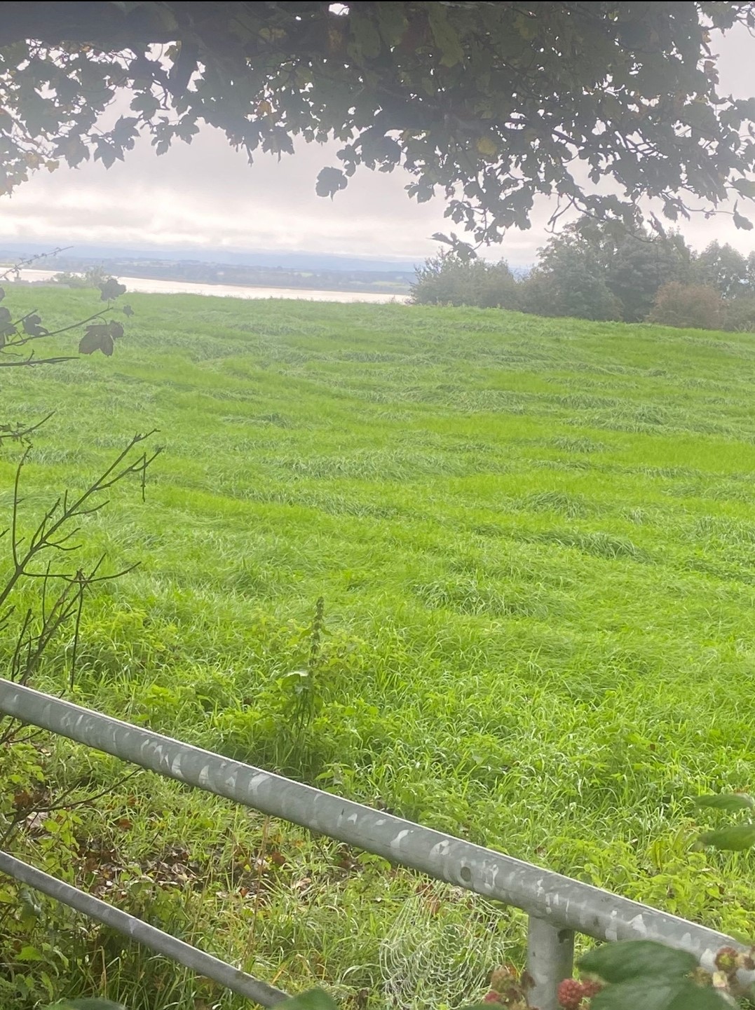 Your Photos Captured... - Utmost International